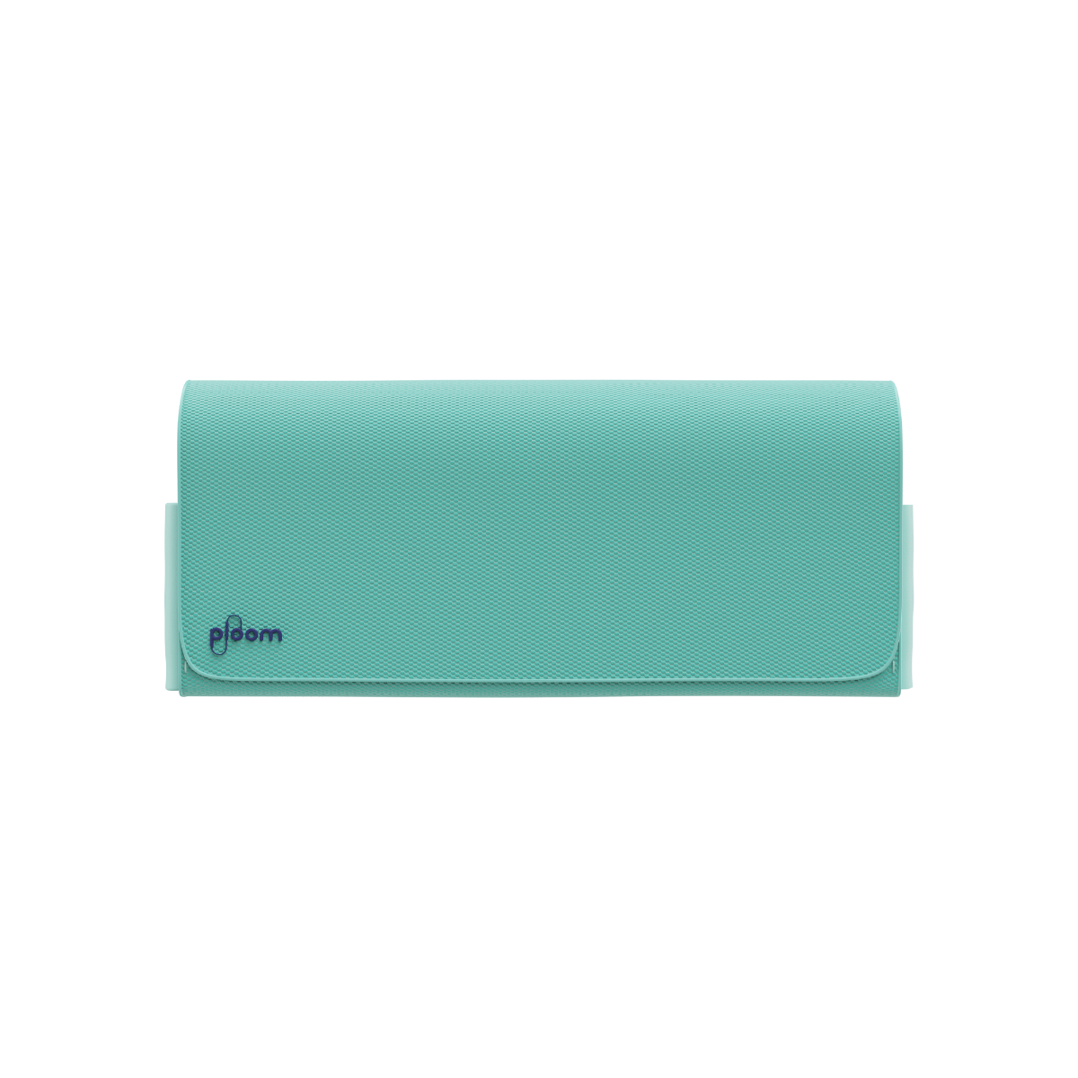 ploom carry case